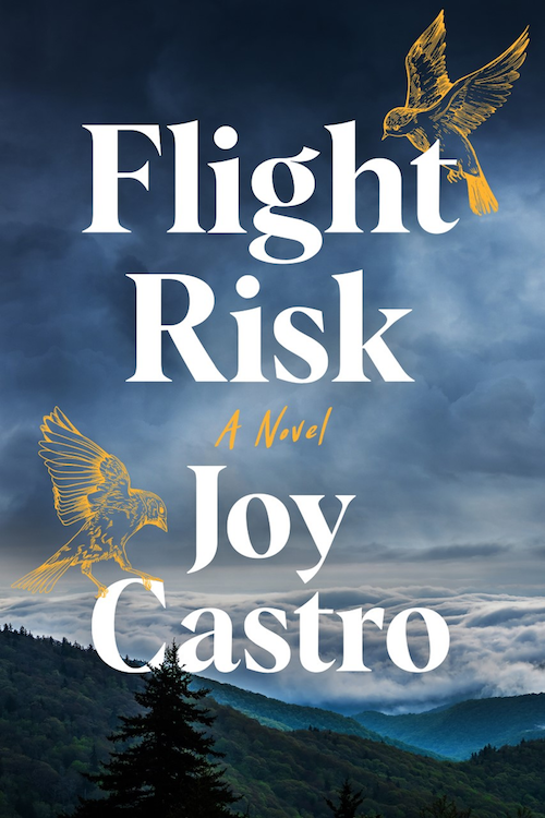 In Conversation with Author Joy Castro